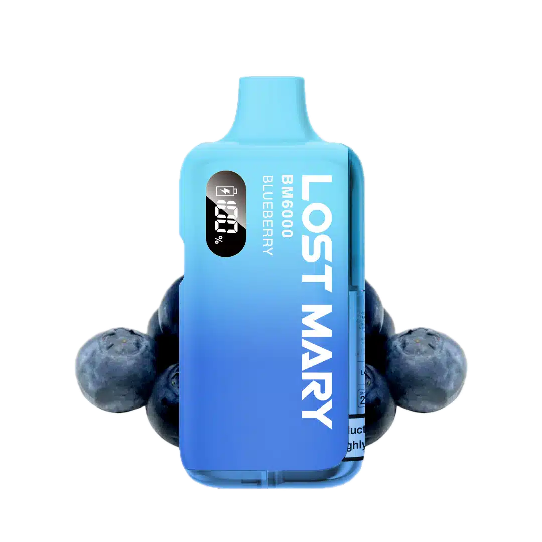 LOST MARY BM6000 Blueberry Vape | Snustrend