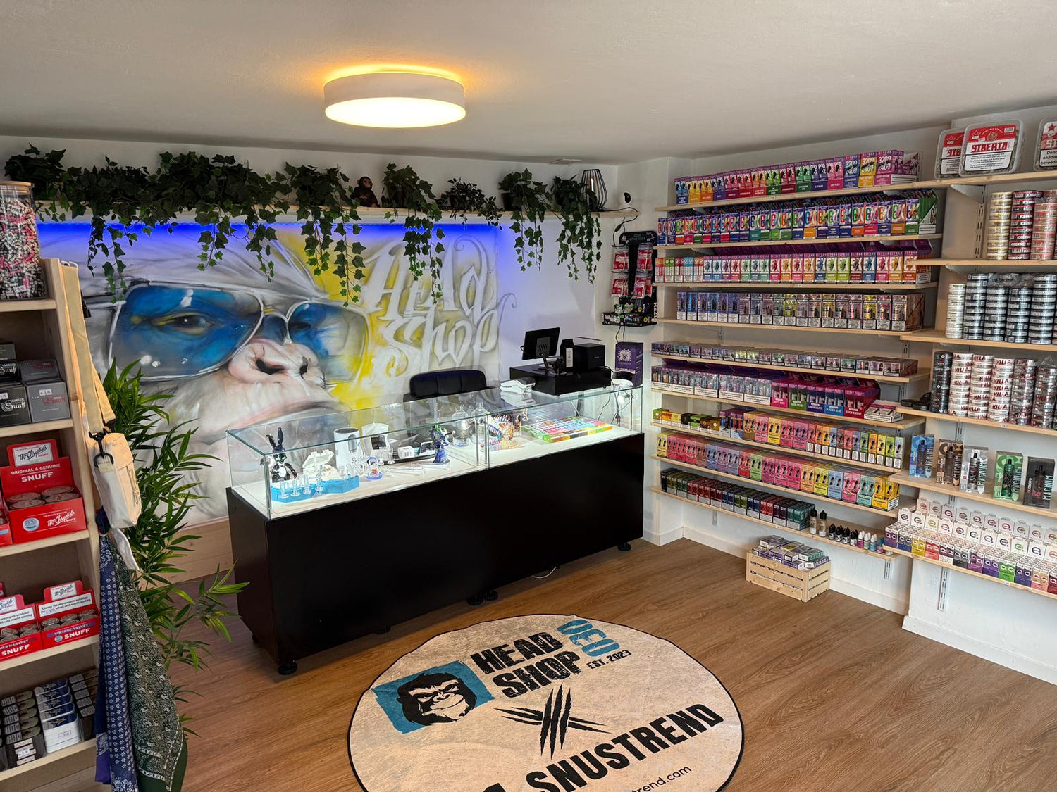 Was ist Snus? Wirkung, Geschichte und Tipps für Anfänger – Snustrend ...